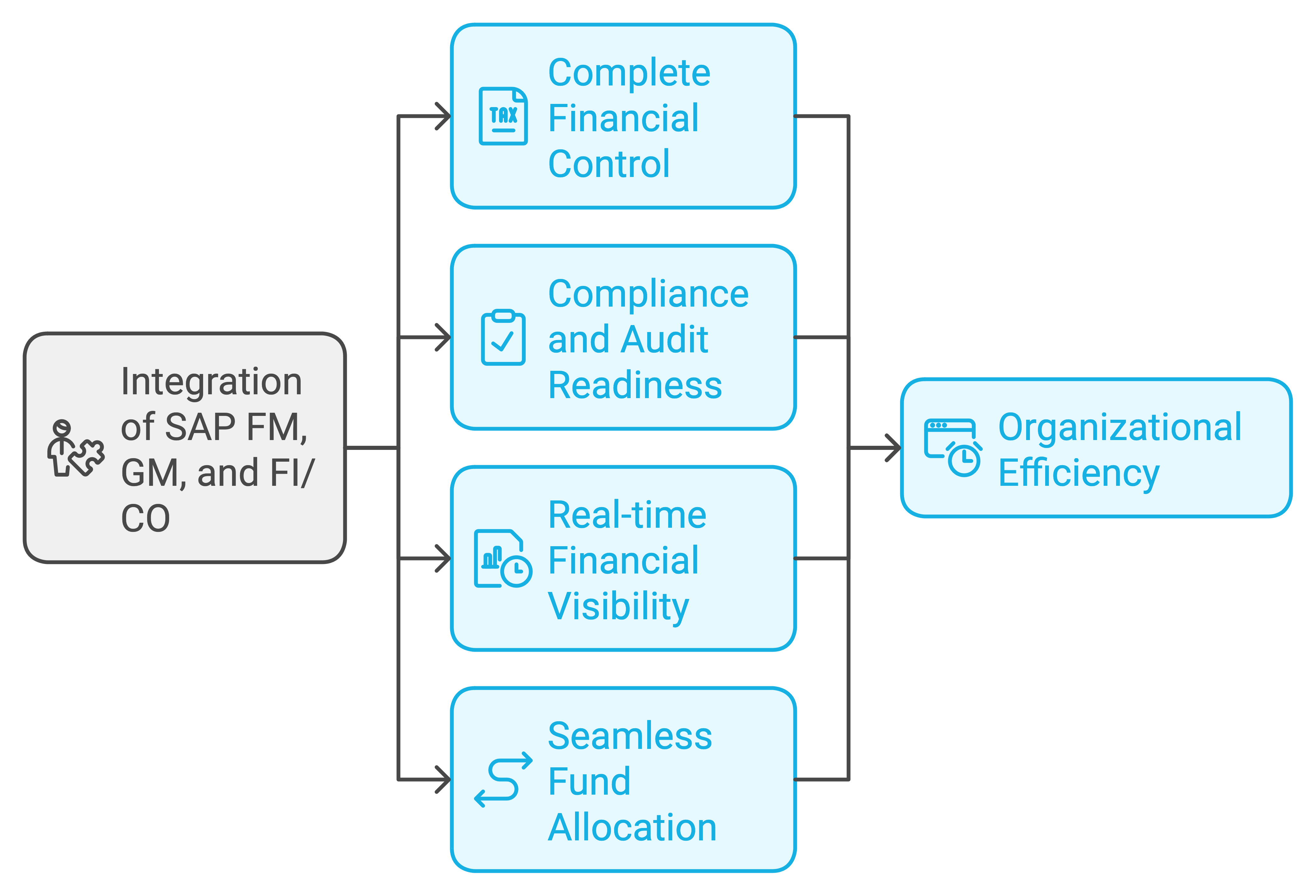 What is SAP Funds Management